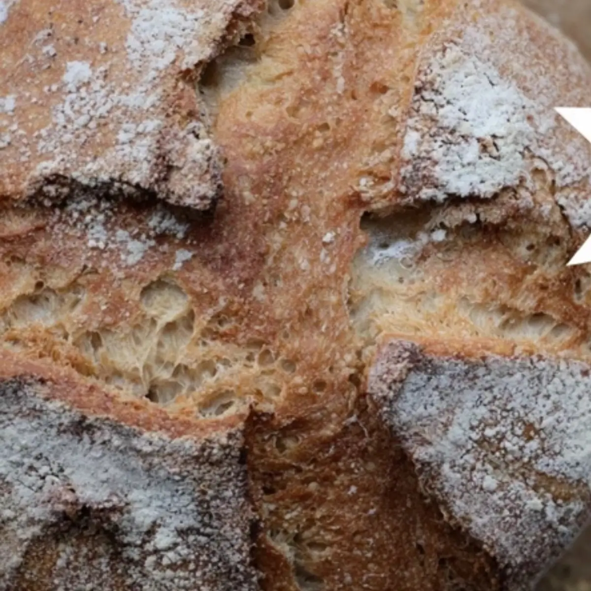 Dinkelbrot selber backen: Einfaches Rezept mit knuspriger Kruste - Muma ...
